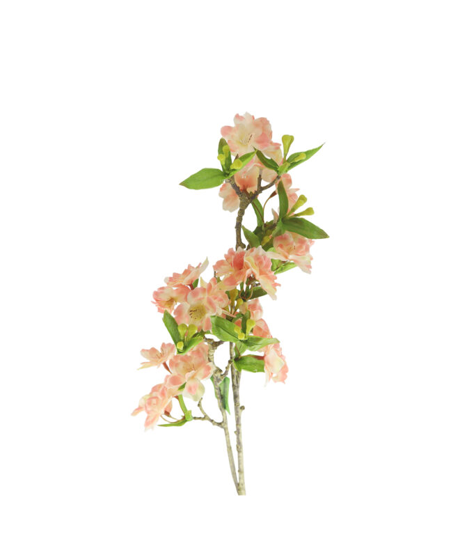 Peach Single Cherry Blossom 85cm – LookSharpStore