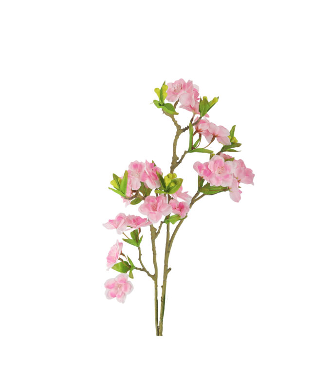 Pink Single Cherry Blossom 85cm – LookSharpStore