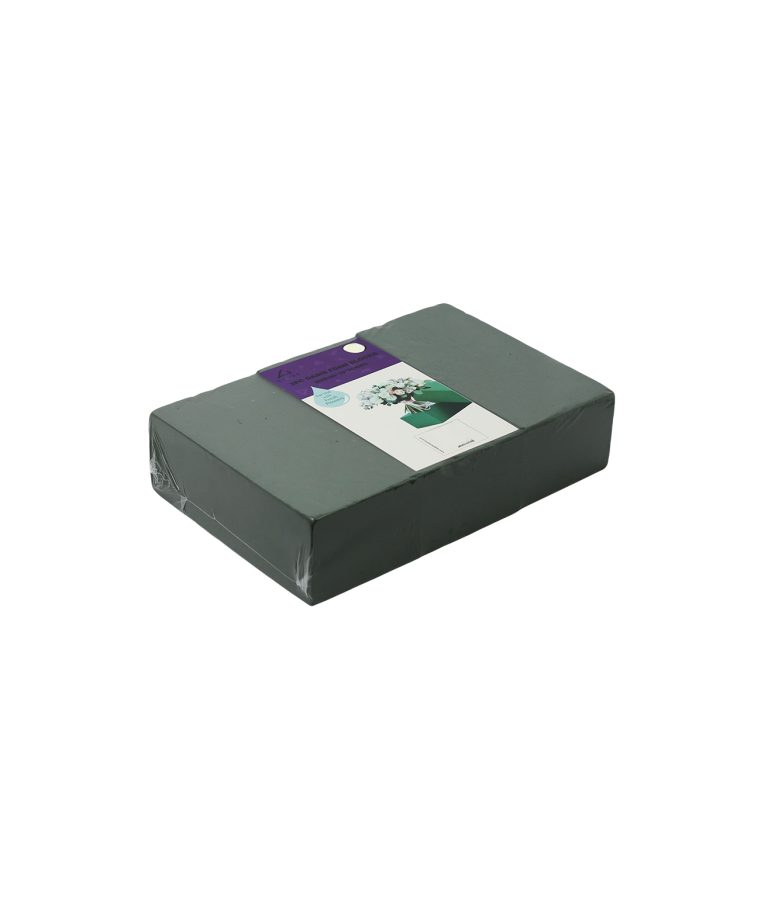 Oasis Floral Foam Blocks 3pc 20x10x7cm – LookSharpStore