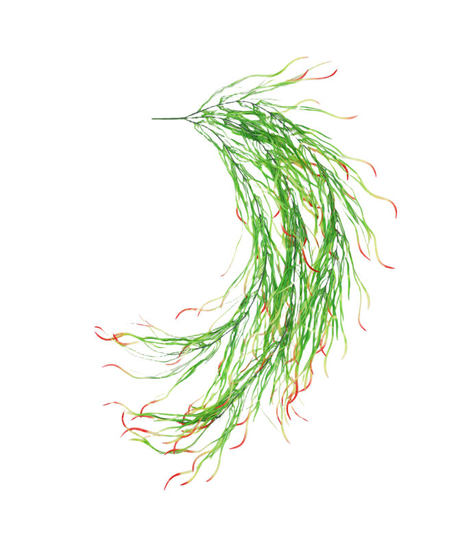 Tree Grass 3 Branch 120cm – LookSharpStore