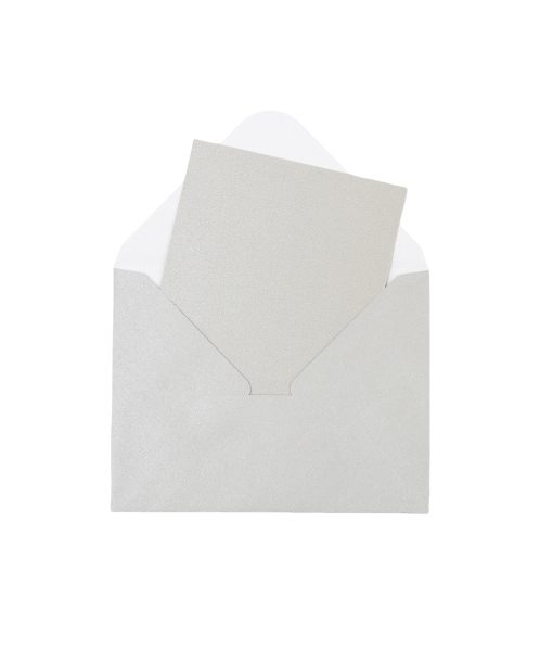 Silver Pearlised Cards & Envelopes Set 12pc – LookSharpStore