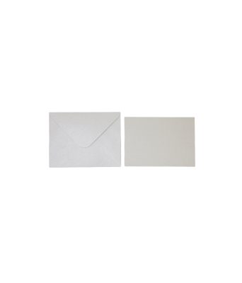 Silver Pearlised Cards & Envelopes Set 12pc – LookSharpStore