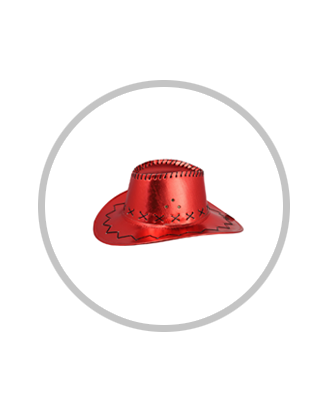 Pirate Theme – LookSharpStore