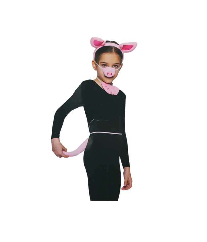 Pig Dress Up Kit – LookSharpStore