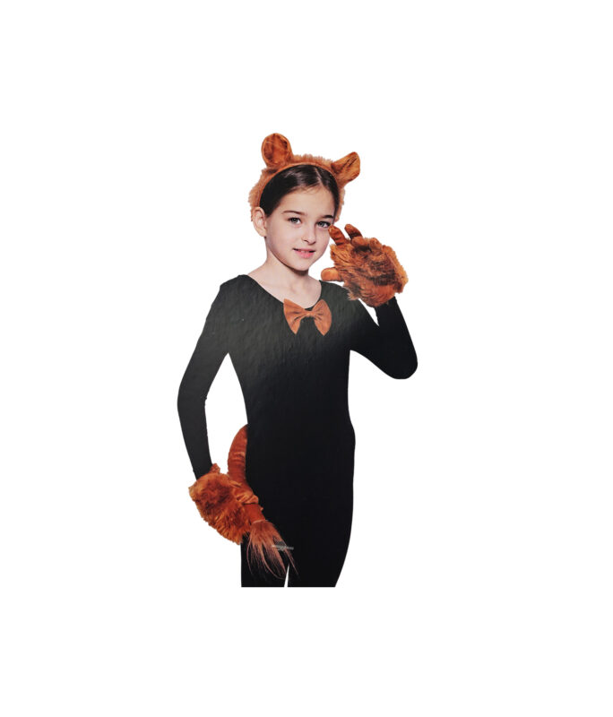 Lion Dress Up Kit – LookSharpStore