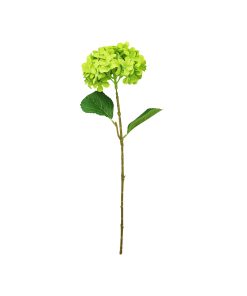 Karate Guy | LookSharpStore