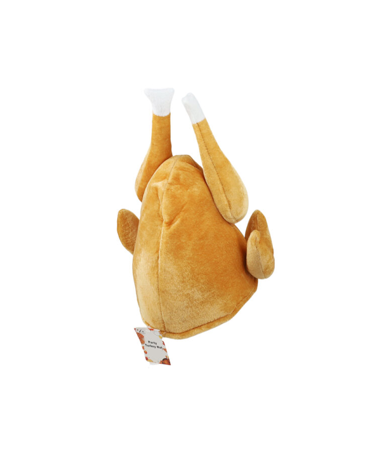 Turkey Party Hat – LookSharpStore
