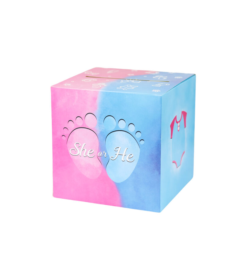 Children’s Gender Disclosure Box Set – LookSharpStore