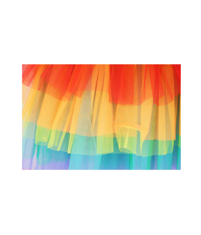 Rainbow Tutu Skirt – LookSharpStore