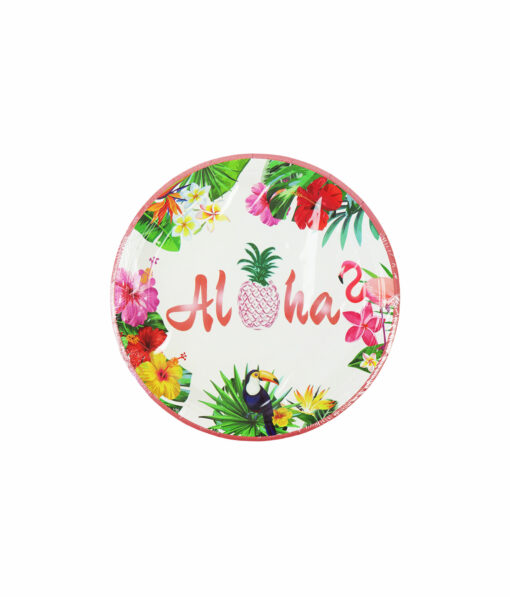 Aloha Summer Paper Plates 9in 16pc – LookSharpStore