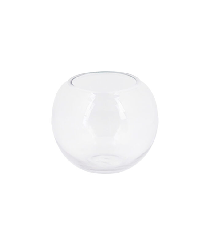 Clear Glass Fish Bowl Height 220mm – LookSharpStore
