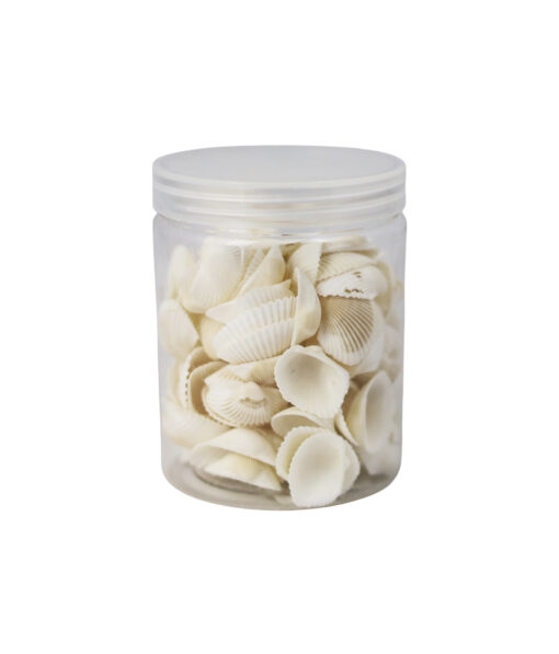 White Natural Sea Shells 300g – LookSharpStore