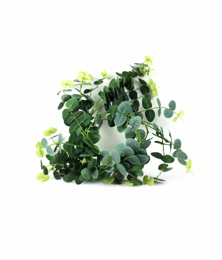 Eucalyptus 190cm – LookSharpStore