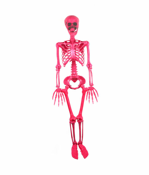 Pink Skeleton 90cm – LookSharpStore