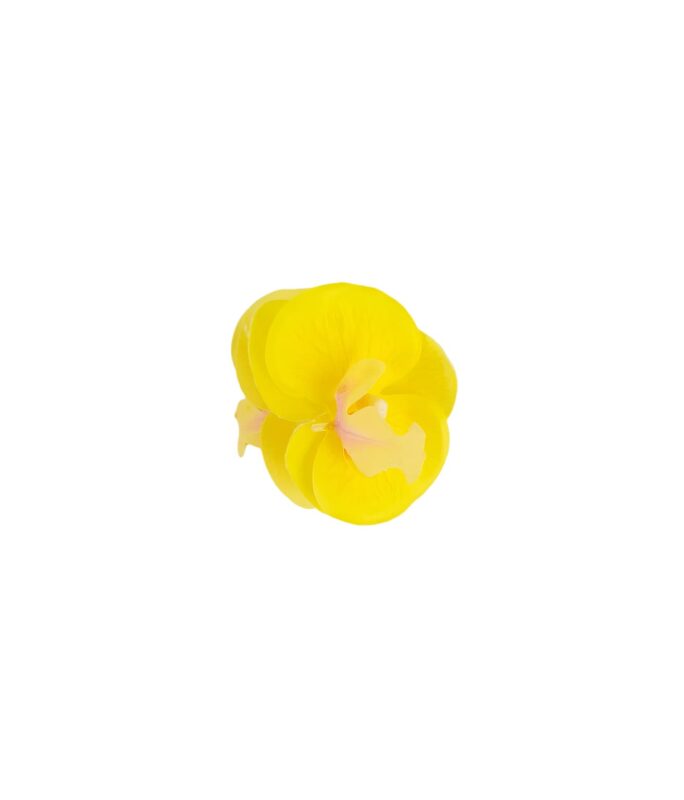 Phalaenopsis orchid Flower Alligator Clip 7cm – LookSharpStore